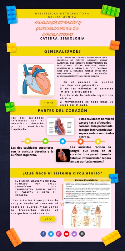 INFOGRAFIA DEL SISTEMA CIRCULATORIO | Genially