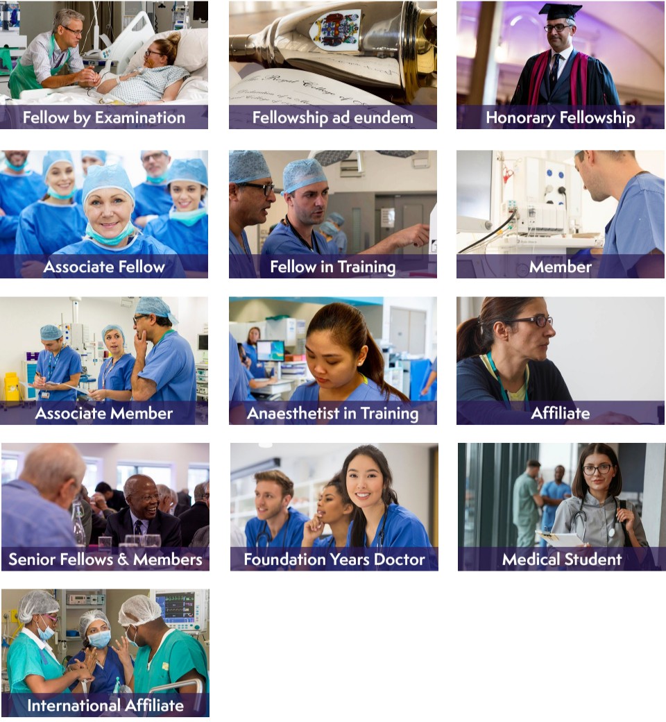 Membership categories | Genially