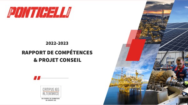 Rapport de compétences et Projet conseil - Clairon Clémen