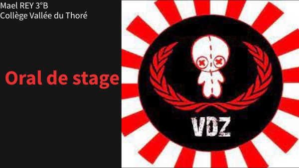 oral de stage