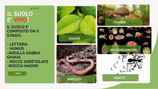 IL SUOLO E' VIVO! | Genially