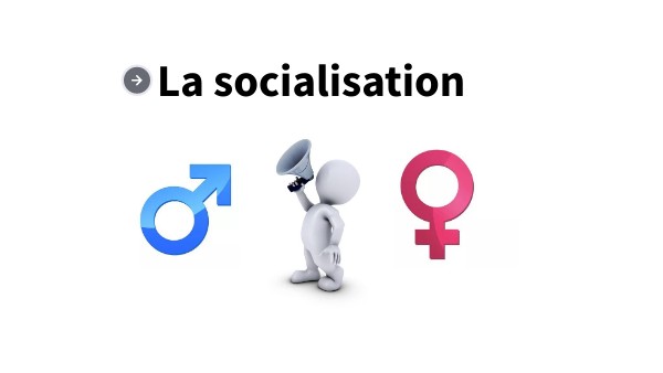 socialisation