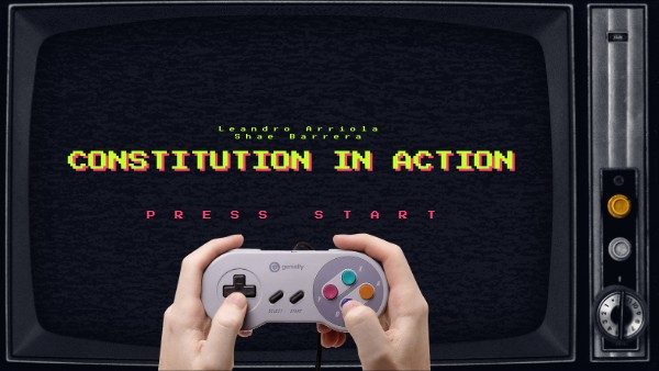 constitution in action