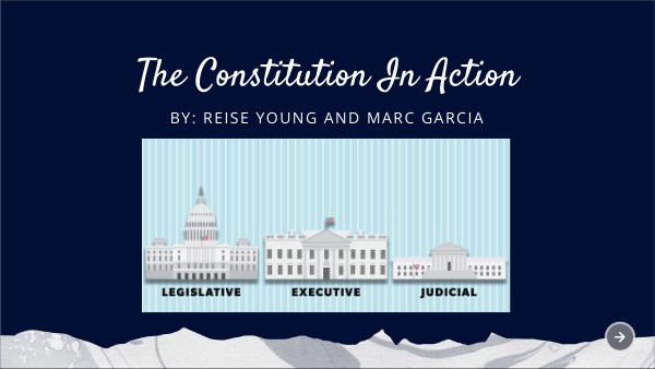 Constitution In Action Project