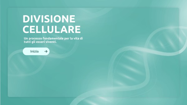 Divisione Cellulare