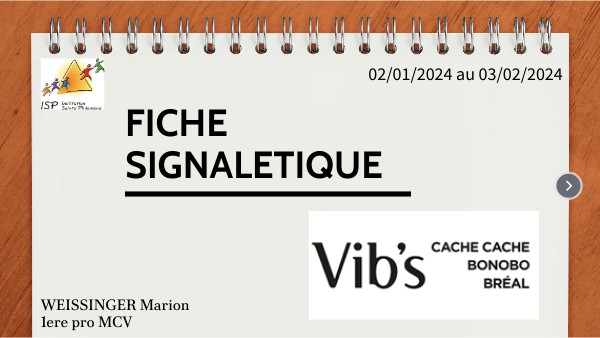 Fiche signalétique Vib's | Genially