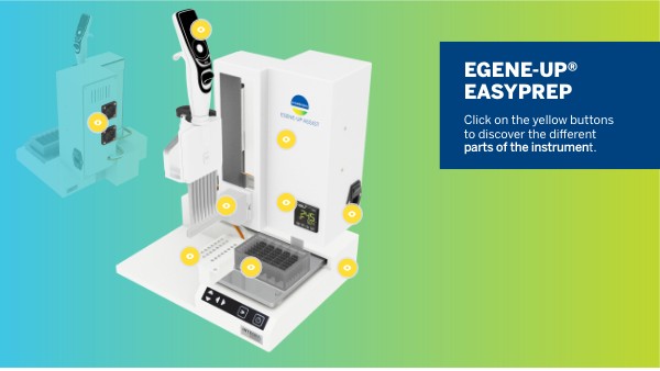 INTERACTIVE EASYPREP | Genially