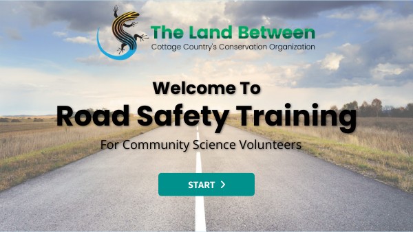 Road Safety | Genially