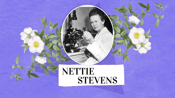 NETTIE STEVENS | Genially
