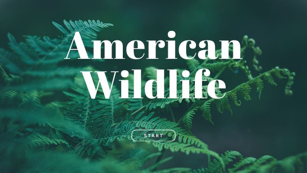 5e - Unit 4 American Wildlife | Genially