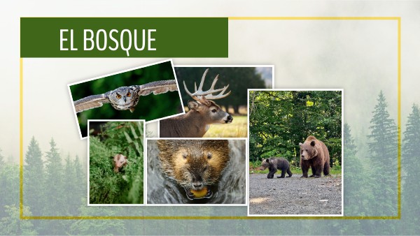 EL BOSQUE | Genially