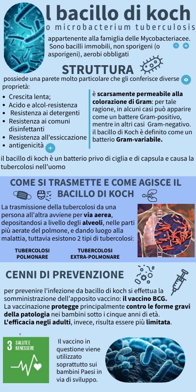 presentazione biologia | Genially