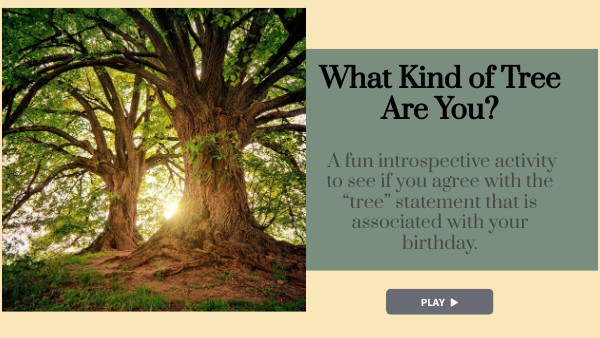 What Kind of Tree Are You?