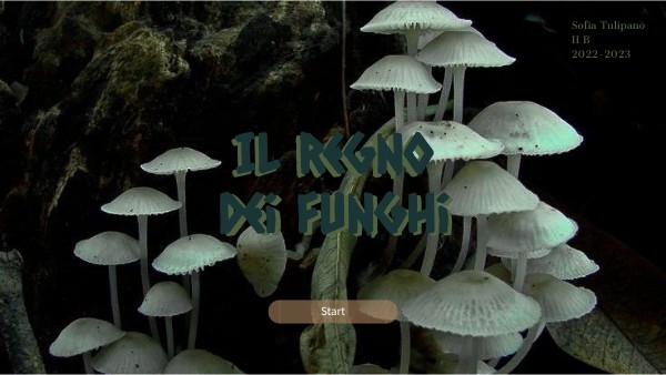 regno dei funghi | Genially