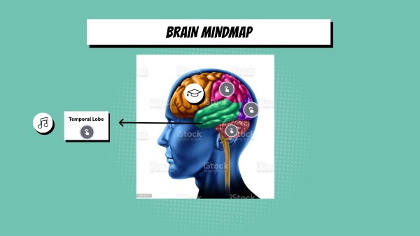 BRAIN MINDMAP