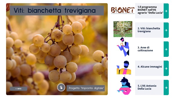 Viti antiche: bianchetta trevigiana (gruppo 4) | Genially