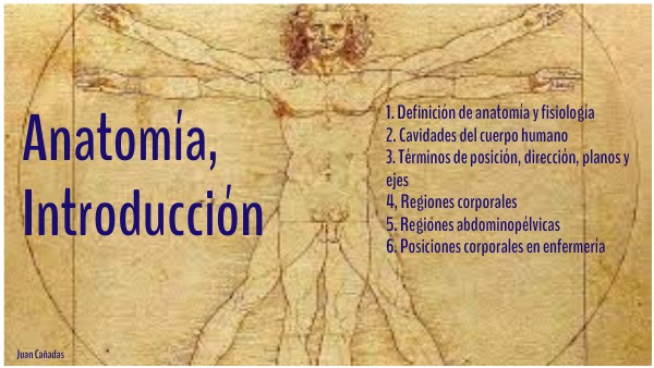 ANATOMÍA, INTRODUCCIÓN | Genially