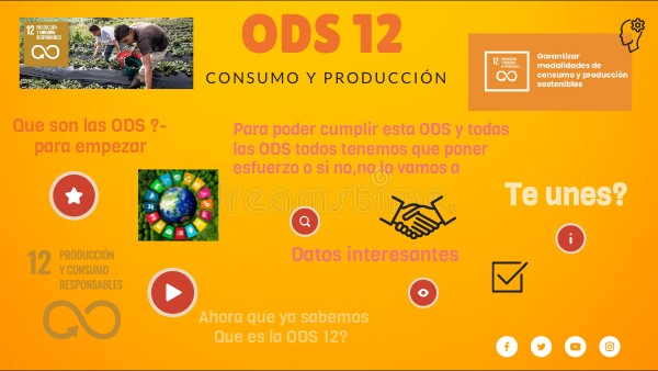 ODS 12