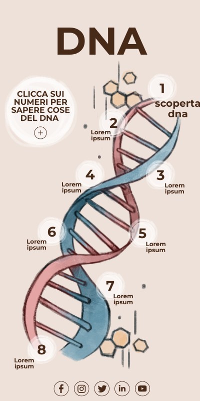 DNA VERTICAL INFO | Genially