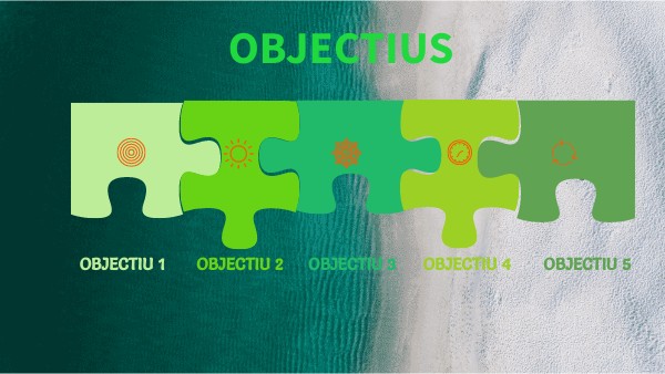 OBJECTIUS