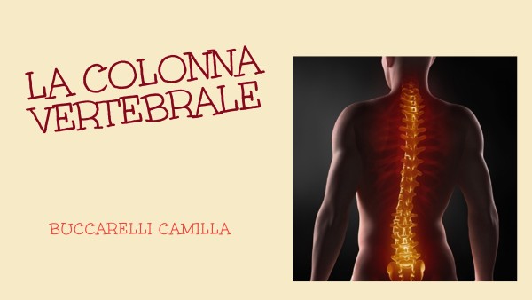 Colonna vertebrale