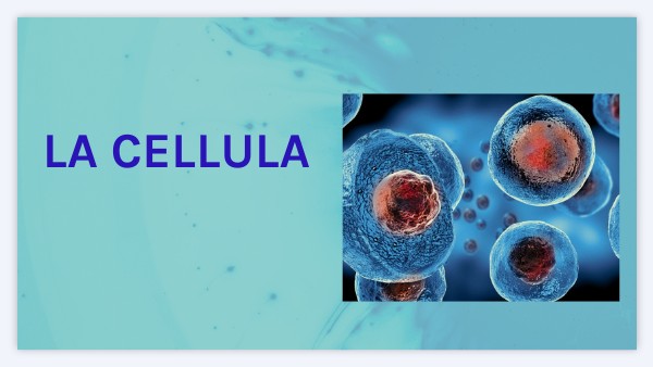 esploriamo i vari tipi di cellula