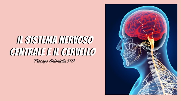 Mappa Mentale Cervello