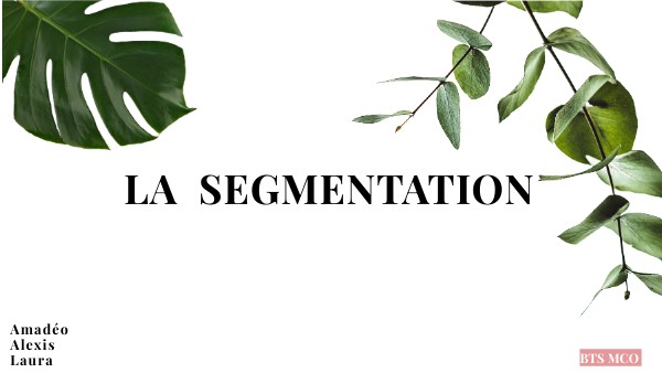Présentation segmentation DRCVC | Genially