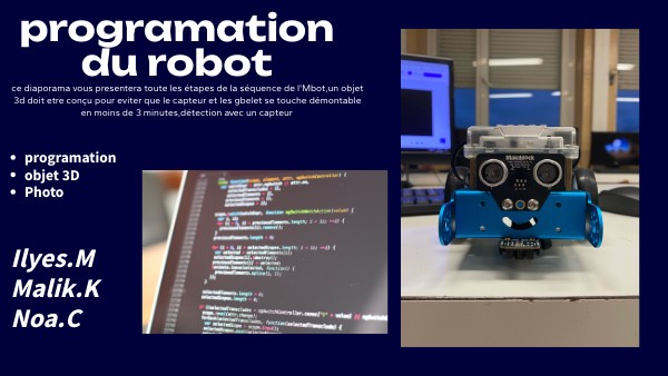 35 Ilyes Noa Malik | Genially