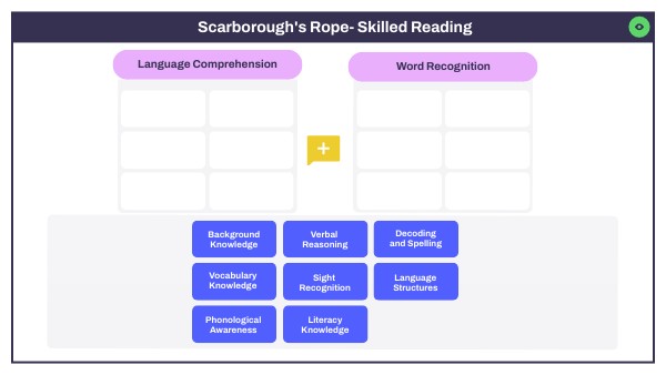 Scarborough's Rope Sorting Cards | Genially