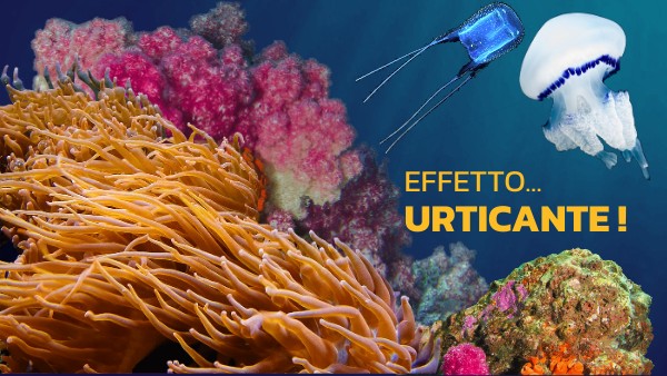 Effetto...URTICANTE! | Genially