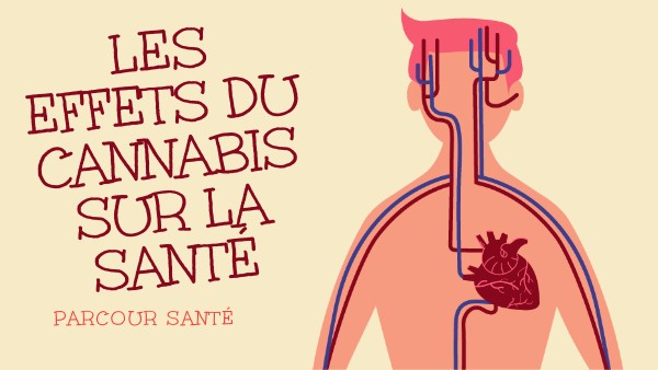 Les Effets Du Cannabis Sur la Santé