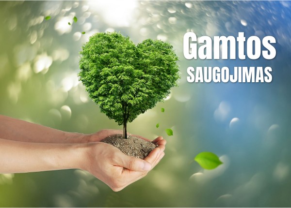 NATURE INTERACTIVE IMAGE