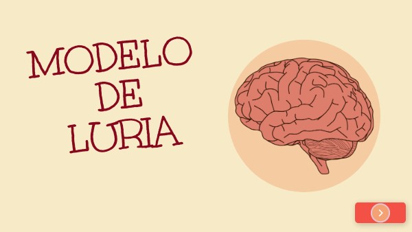 MODELO DE LURIA | Genially