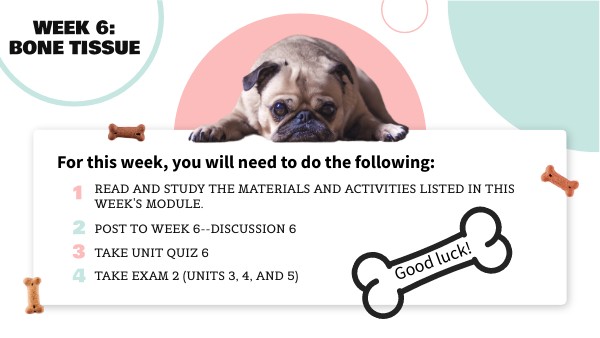 Welcome to Week 6 BIO1100 | Genially