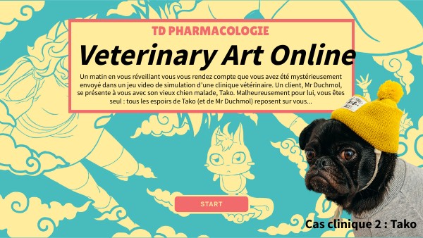 TD Pharmaco - Veterinary Art Online | Genially