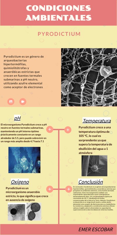 INFO VERTICAL CÉLULAS | Genially