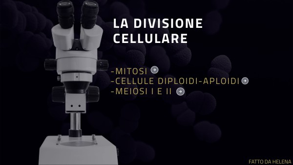 LA DIVISIONE CELLULARE