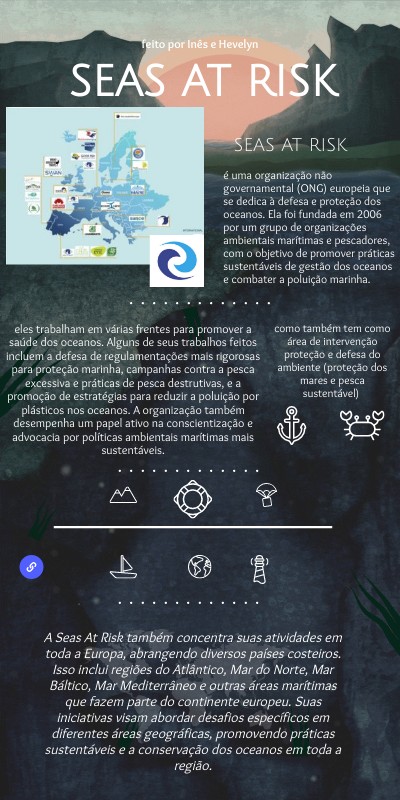 Seas At Risk | Genially