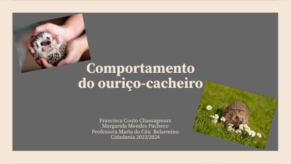 Comportamento do Ouriço Cacheiro