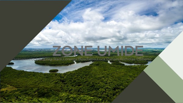 DIAGONAL PROJECT PRESENTATION | Genially