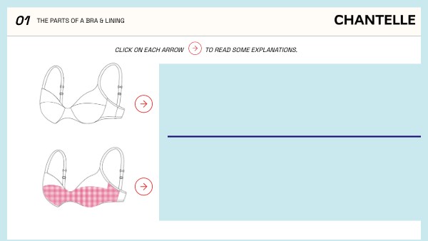 Bra parts & taking measurements | Genially