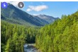 taiga