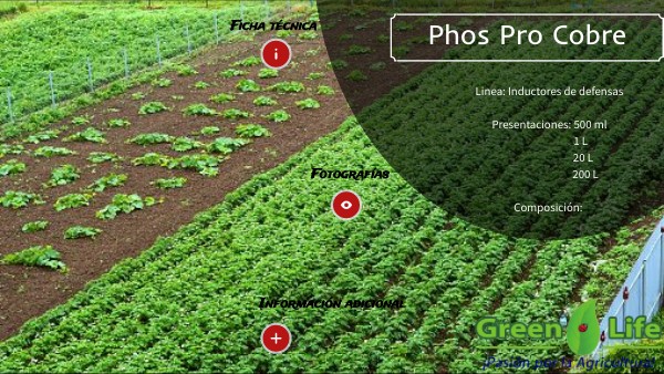 Phos Pro Cobre | Genially