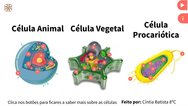Tipos de Células | Genially