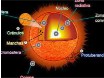 Imagen interactiva estructuras del sol