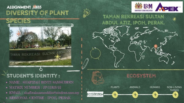 DEFINITION OF DIVERSITY OF PLANT | Genially