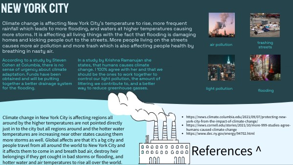 POLLUTION HORIZONTAL INFO | Genially