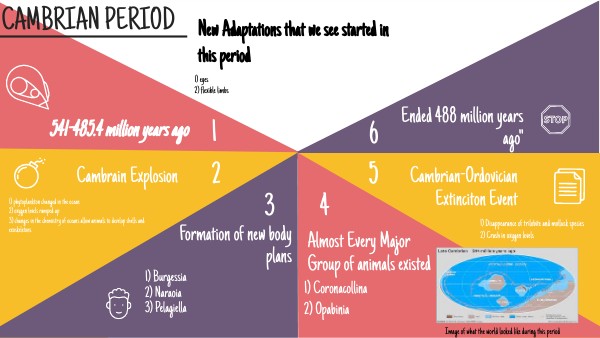 Cambrian Period