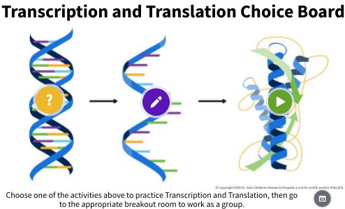 Transcription and Translation Practice Choice Board | Genially